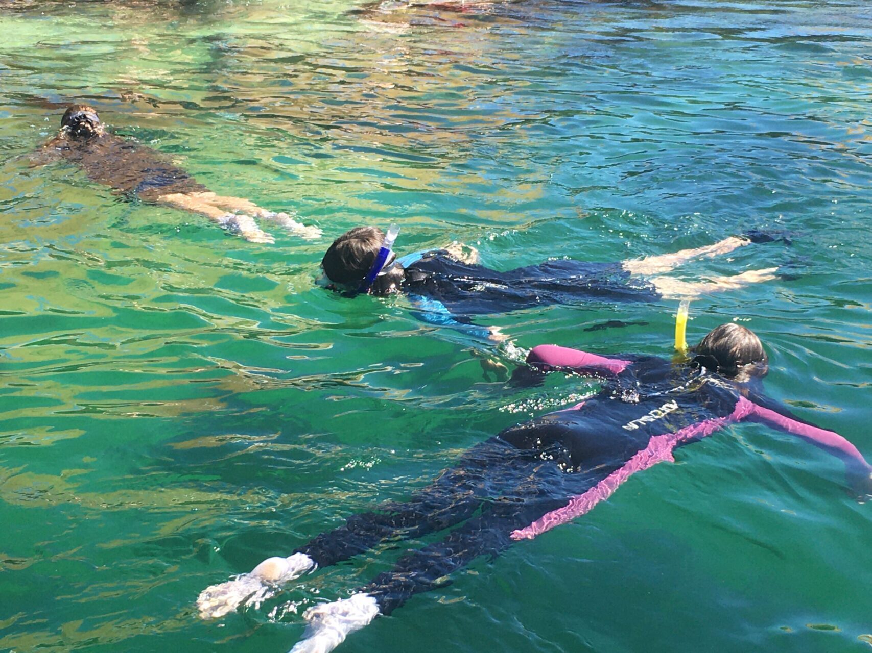 Girls On The Go!: Macquarie College